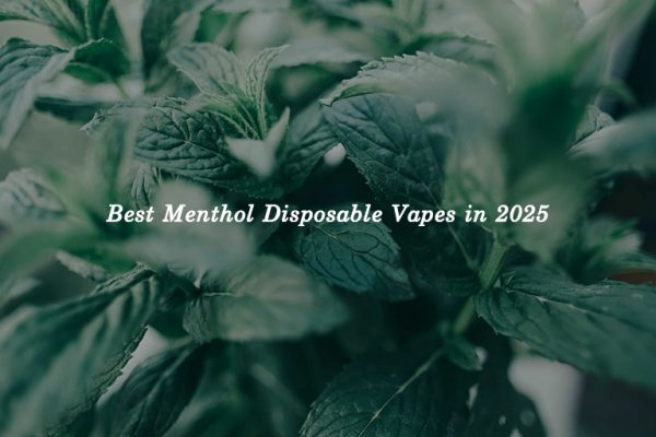 Best Menthol Disposable Vapes in 2025: Coolest Picks for Fresh Hits ...
